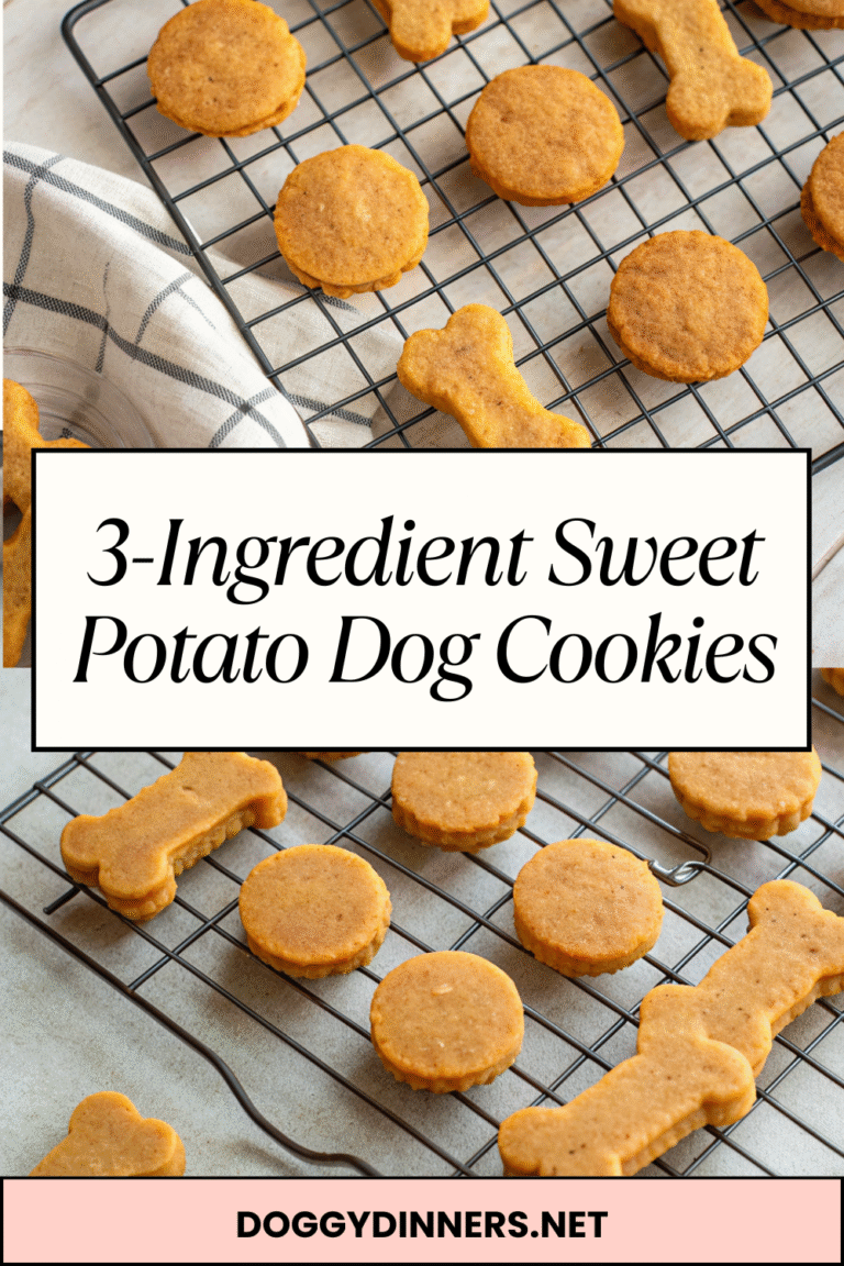 3-Ingredient Sweet Potato Dog Cookies – Simple, Wholesome & Perfect for ...
